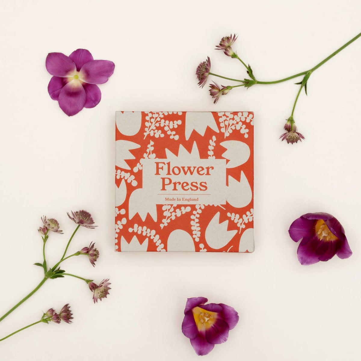 Tulip | Flower Press – Pink Moon Goods