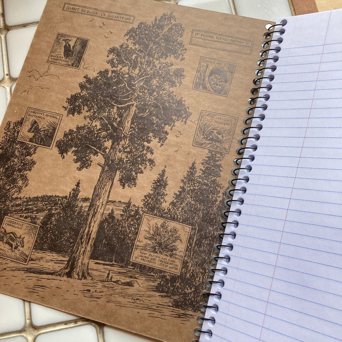 Sunflowers | Coilbound Decomposition Book – Pink Moon Goods