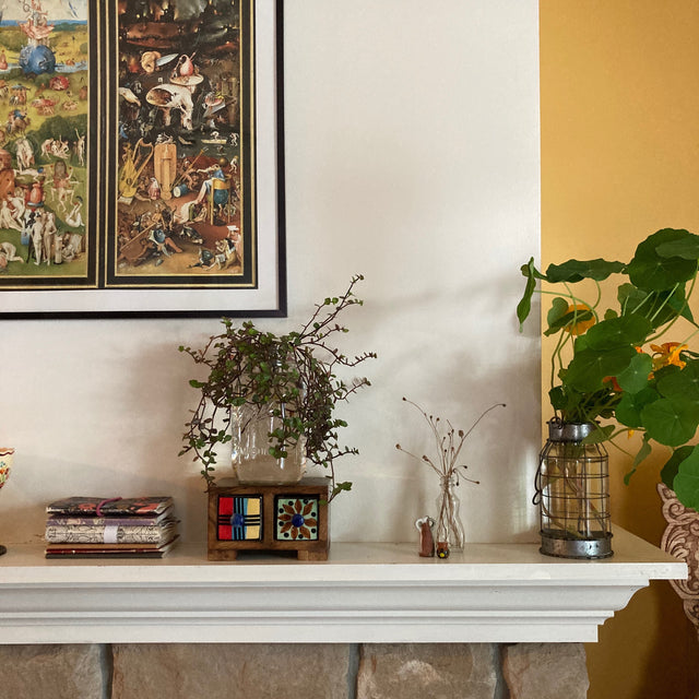 Shop Curated Home Decor & Unique Home Decor at Pink Moon Goods